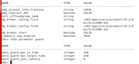 Jaffars Mr Rac Oracle Blog Whats New In 19c Part Iii Data Guard