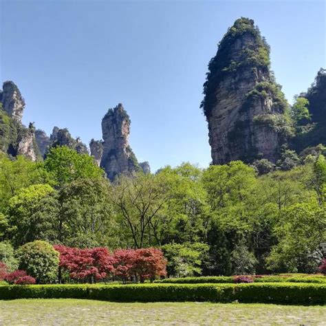 张家界5日游跟团多少钱，张家界5日游报团费用大概多少导游旅游游玩天门山凤凰古城张家界市热门景点网易订阅