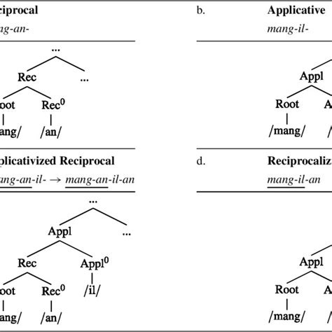 Base Derivative Structures And Suffix Doubling Download Scientific