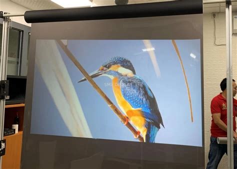 Front And Rear Best Ultra Black Projection Film High Definition Visual