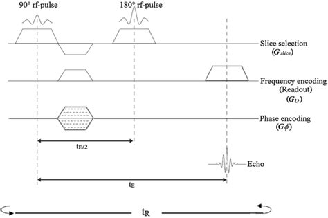 Basic Pulse Diagram Of A Spin Echo Se Sequence The Slice Selective
