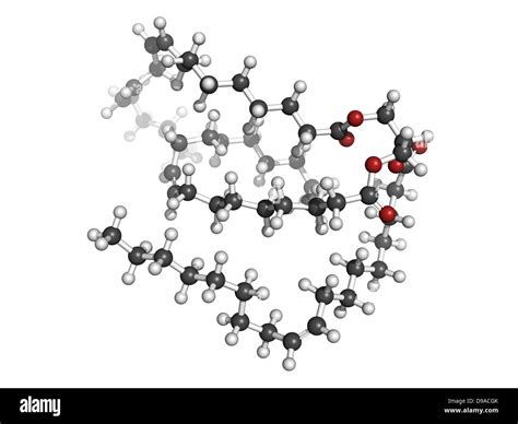 Unsaturated Triglyceride Structure