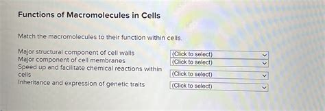 Solved Functions Of Macromolecules In Cellsmatch The