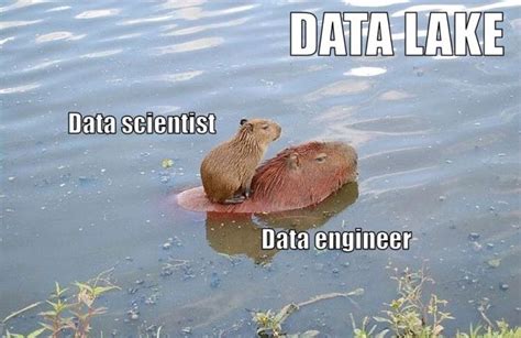 Machine Learning Türkiye Posted On Linkedin