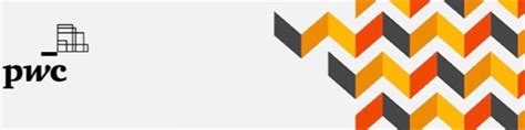 New Certification The Evolved Pwc Professional Mohamad Badran Posted