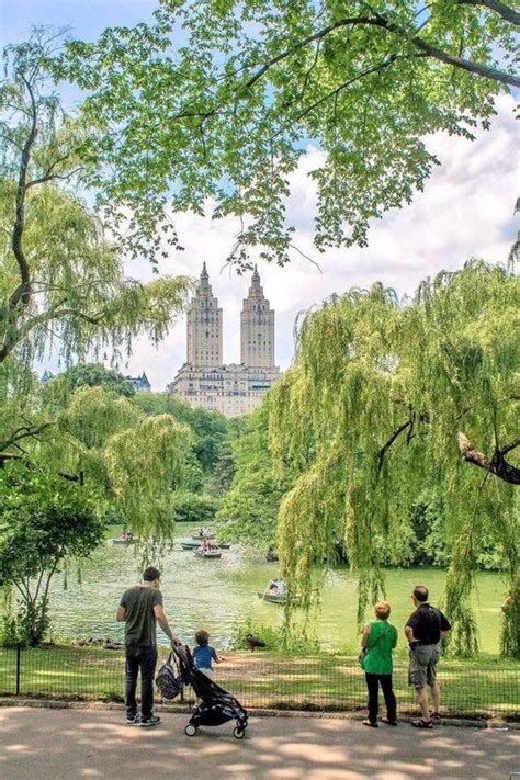 Elizaveta Chvorda On Linkedin Data Analysis Portfolio Project Using