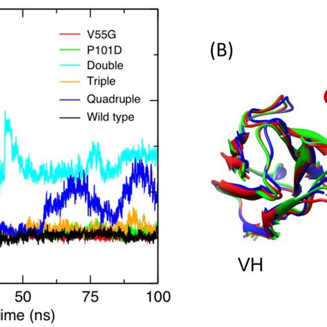 Molecular Dynamics Trajectories A Root Mean Square Deviations C A