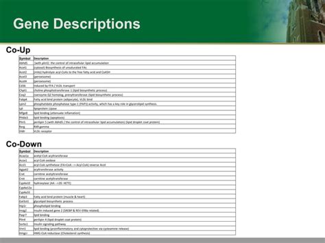 Fatty Acid Metabolism Genes In Nafldpptx