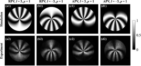 Interference Patterns Of Vector Vortex Beams With Different Vortex
