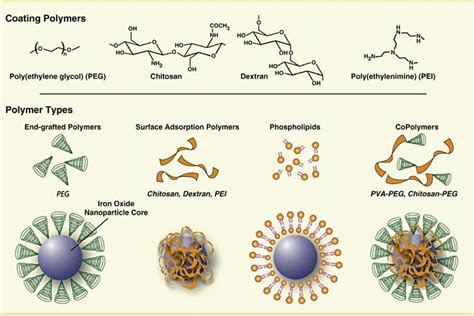 Magnetic Nanoparticles Synthesis Surface Modifications And