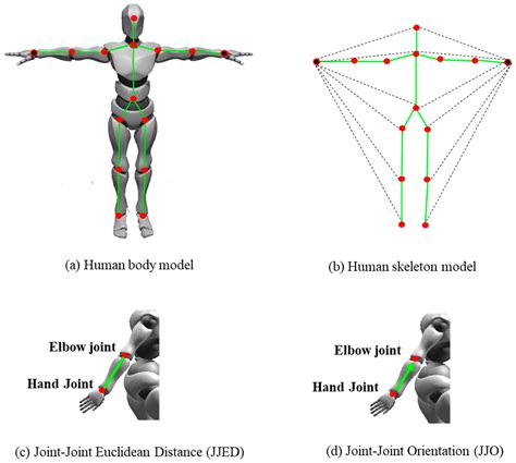 Multi Stream Fusion Network For Skeleton Based Construction Worker Action Recognition