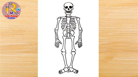 Simple Skeleton Drawing