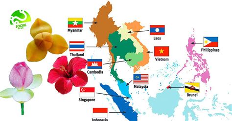 មកស្គាល់ផ្កាតំណាងជាតិ អាស៊ានទាំង១០ប្រទេស ជាមួយនឹងអត្ថន័យដ៏ជ្រាលជ្រៅបំផុត ដែលអ្នកមិនដែលដឹង