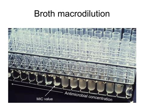 Broth Microdilution Reference Methodology Pdf Broth Microdilution Reference Methodology Pdf