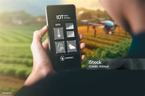 Iot Internet Of Thinking 기술을 활용한 스마트 농업과 Ai 인공지능을 이용한 분석은 농업의 생산성 향상 연구개발에 도움이 됩니다 가상현실에 대한 스톡