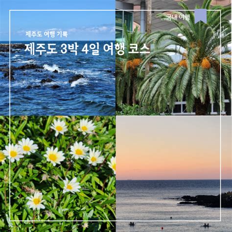 [국내여행]제주도 3박 4일 자유여행 코스 추천 혼자 여행하는 뚜벅이의 일기 네이버 블로그