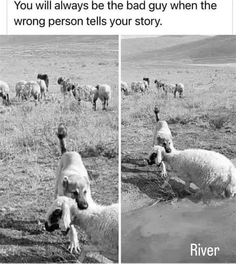 Javad Rajaei On Linkedin رسانه اهمیترسانه 27 Comments