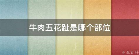 牛肉五花趾是哪个部位 业百科