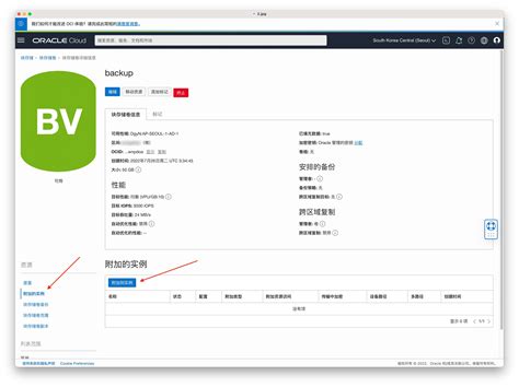 oracle cloud oracle cloud boot volume expansion and block storage volume mounting fenq
