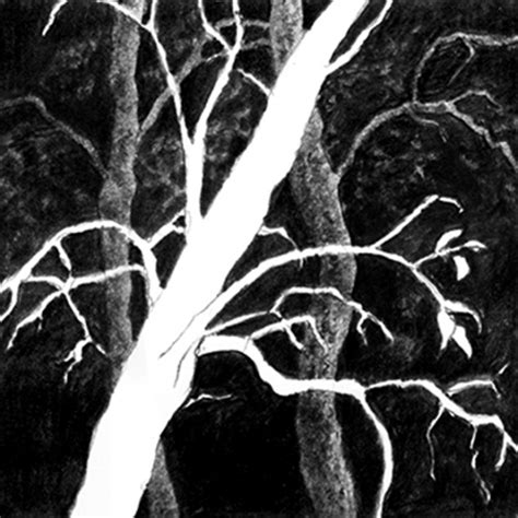 3 3 A5 Combine Negative Space With Negative Drawing Overview Drawspace