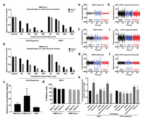 automated midbrain organoids possess functional characteristics of