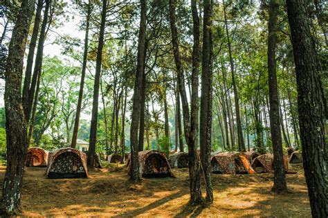 무료 이미지 텐트 캠핑 삼림지 북쪽 관광 여행 유명한 곳 휴일 여름 산 태국 전국의 목재 핏사 눌록 고요한 장면 아시아 기분 전환 하이킹