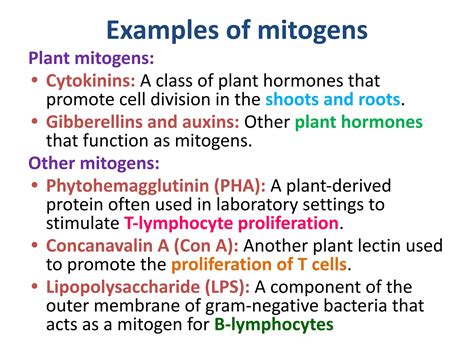 Mitosis Cell Cycle And Their Check Points Pdf