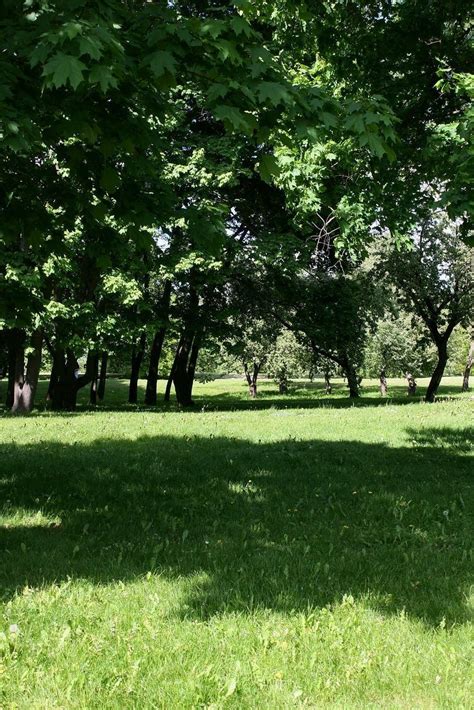 The Decline Of Stack Overflow Hackernoon