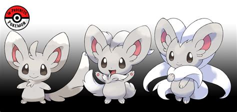 What Level Does Minccino Evolve In Pokemon Black