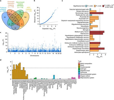 Mapping Of Genes And Tissue Expression And Cell Expression Profiles A Download Scientific