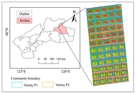 Agronomy Free Full Text Potato Leaf Chlorophyll Content Estimation Through Radiative