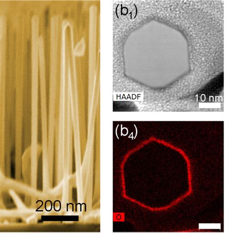 A Scanning Electron Microscopy Image Of Gaas Srtio3 Core Shell Download Scientific Diagram