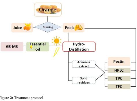 Gas Chromatography Mass Spectrometry Gc Ms Gc Fid Analyses