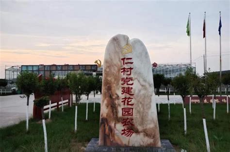 西安市高陵区希望在农场里绽放 丝路中国 中国网