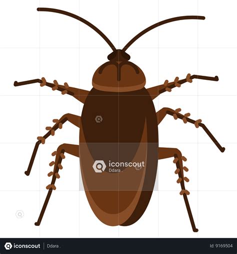 Cockroach Animation By Ddara Lottiefiles