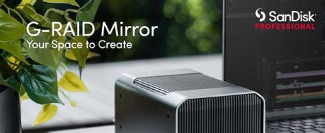Sandisk Professional 44tb G Raid Mirror External Hdd