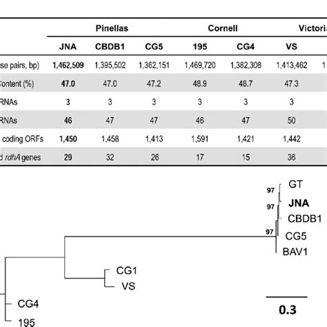 Comparative Genomics Characterization Of Strain Jna A Genomic