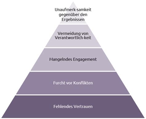 Lencioni Praxis Framework