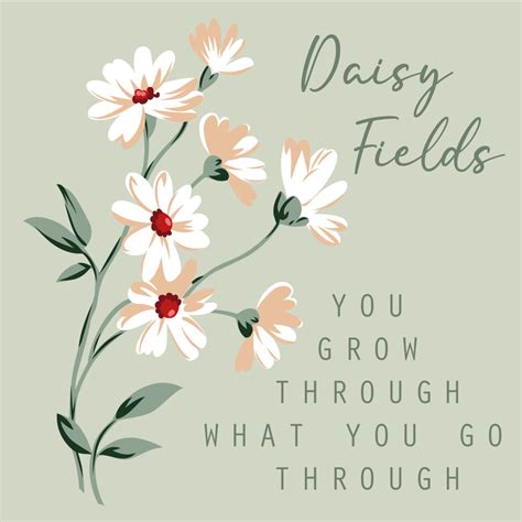 Daisy Fields Tagged Limited Nikkis The T Shop