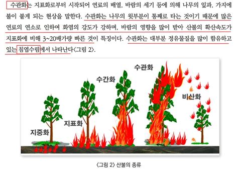 소나무는 수관화가 되어 산불 확산 속도가 빠르다고 강조 오마이포토