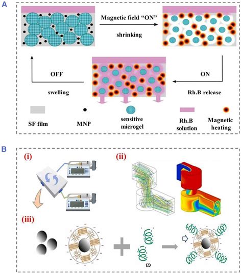 A Silk Membranes With Magnetic Nanoparticles And Heat Ph‐sensitive Download Scientific