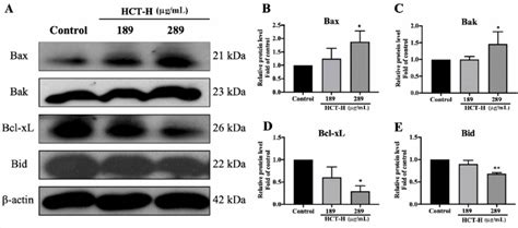 The Effects Of HCT H Fraction On The Expression Of Apoptotic Involving Download Scientific