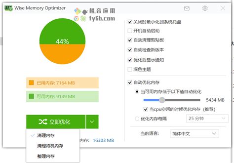 Windows Wise Memory Optimzer 内存优化v420 便携版 枫音应用