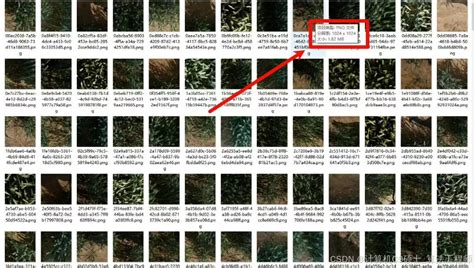 构建基于yolov10麦穗目标检测系统 小麦麦头数据集检测 实现对麦穗4000张数据的处理 深度学习目标检测处理麦穗数据 Csdn博客