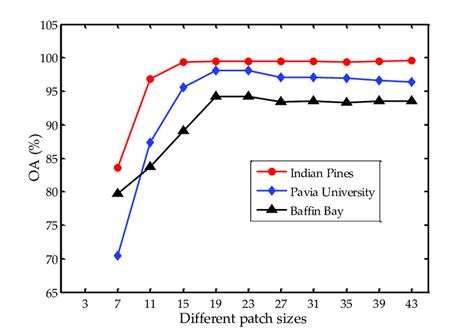 Classification Performance Versus Different Patch Sizes Download