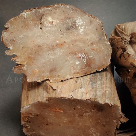 pom copal resin extract apothecary s garden