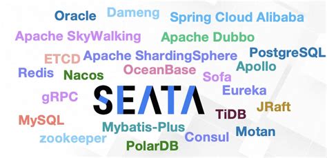 你好！apache Seata（incubating） 阿里云开发者社区