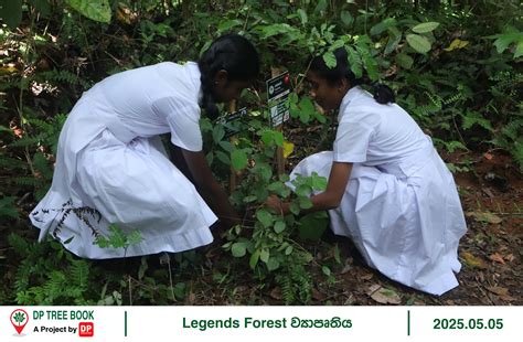 Dp Education It Campus Colombo