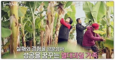 동네한바퀴 완도 열대과일 택배 주문 연락처