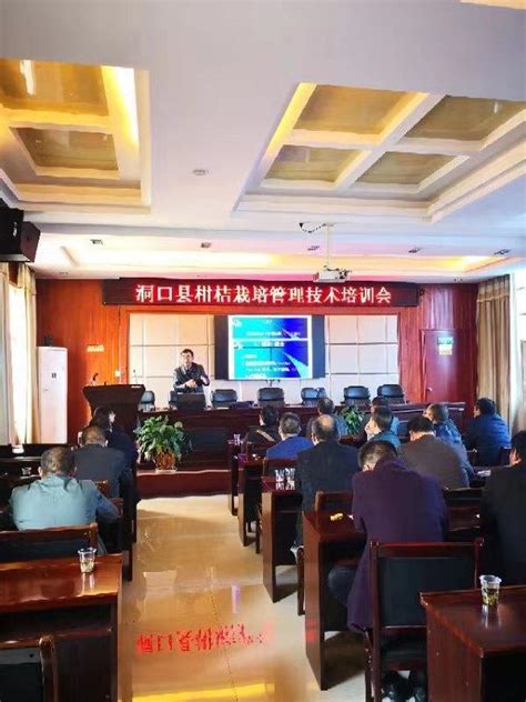 洞口縣農業局召開柑桔栽培管理技術培訓會議 每日頭條